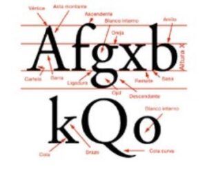 The Importance of Proportions in Typography: A Comprehensive Analysis ...